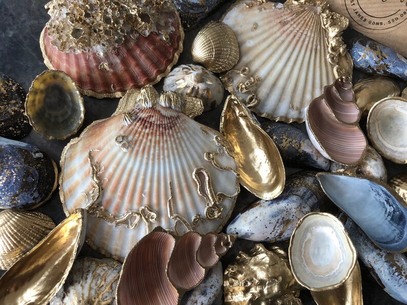 Gold Shell Decor 30 X Gilded Shells Coastal Decor Bulk Pack - Etsy