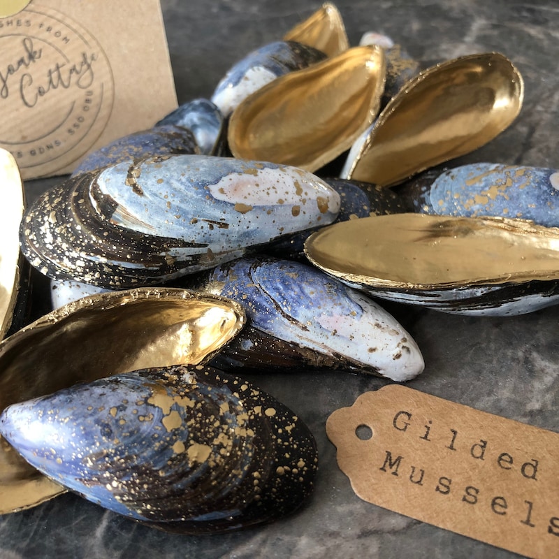 Mussel Shells - Etsy