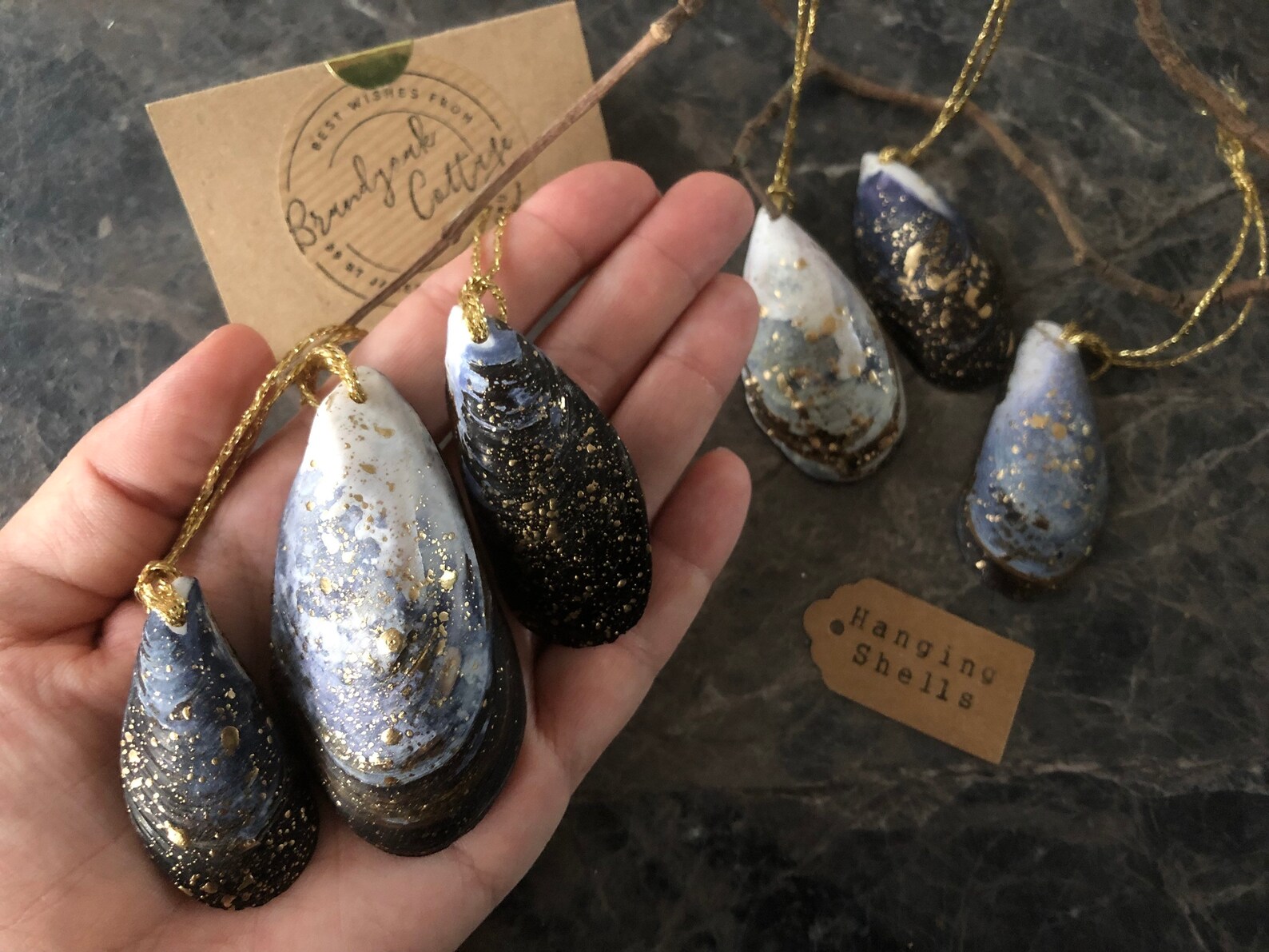 Gilded Mussel Shell Seashell Ornaments, Shell Christmas Decorations ...