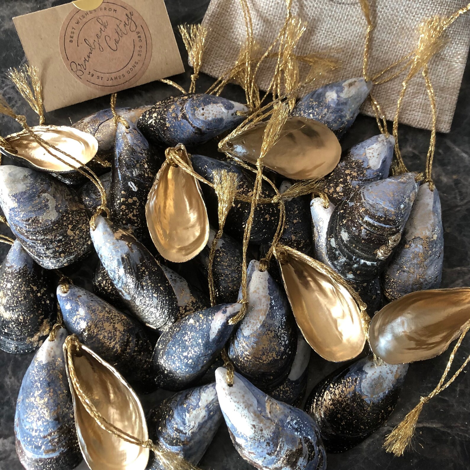 Gilded Mussel Shell Seashell Ornaments, Shell Christmas Decorations ...