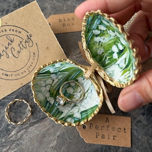 Cockle Shell Ring Box With Ribbon Hinge White Green Lily Valley ...