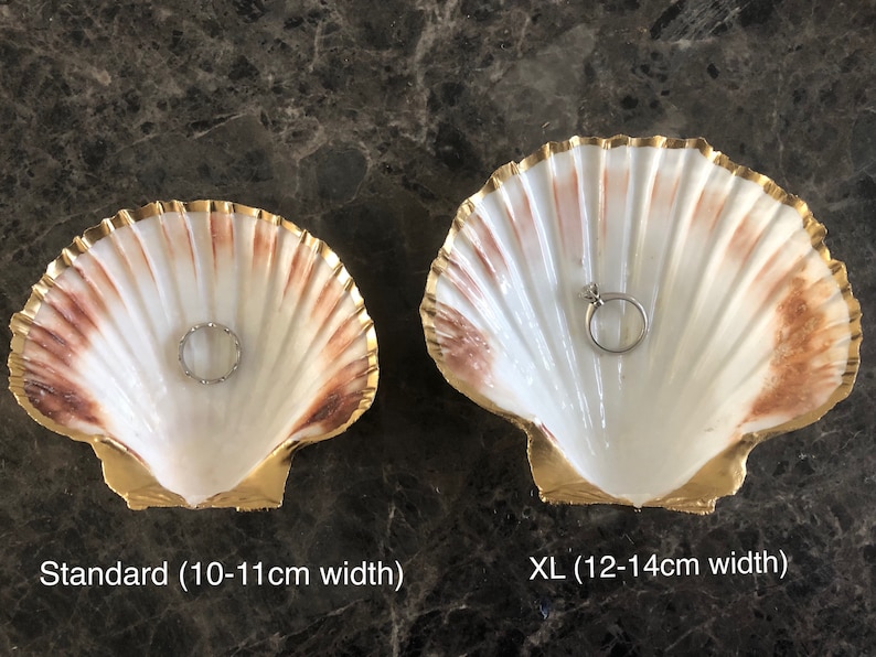 Shell Trinket Dish Gilt Edged Golden Scallop Shell Gold - Etsy