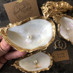 Stunning Gold Pearl Oyster Shell | Bulk 10, 20, 30, 40, 50, 60 Oyster ...