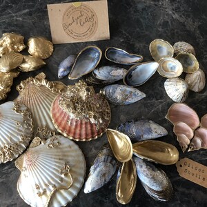 Gold Shell Decor 30 X Gilded Shells Coastal Decor Bulk Pack, Beach ...