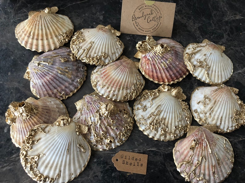 Gilded Sea Shell Decorations, Barnacle Scallop Shell Ornaments Coastal ...