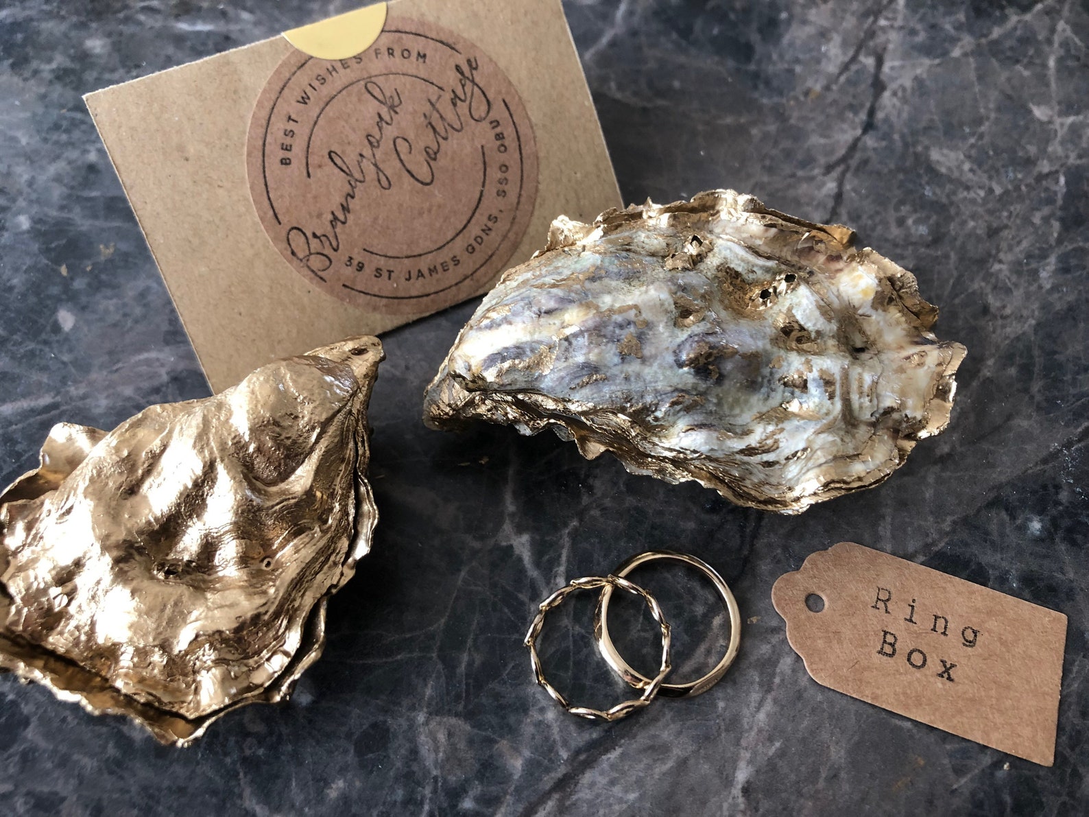 William Morris Ring Box Small Gold Whole Oyster Shell Blue White ...