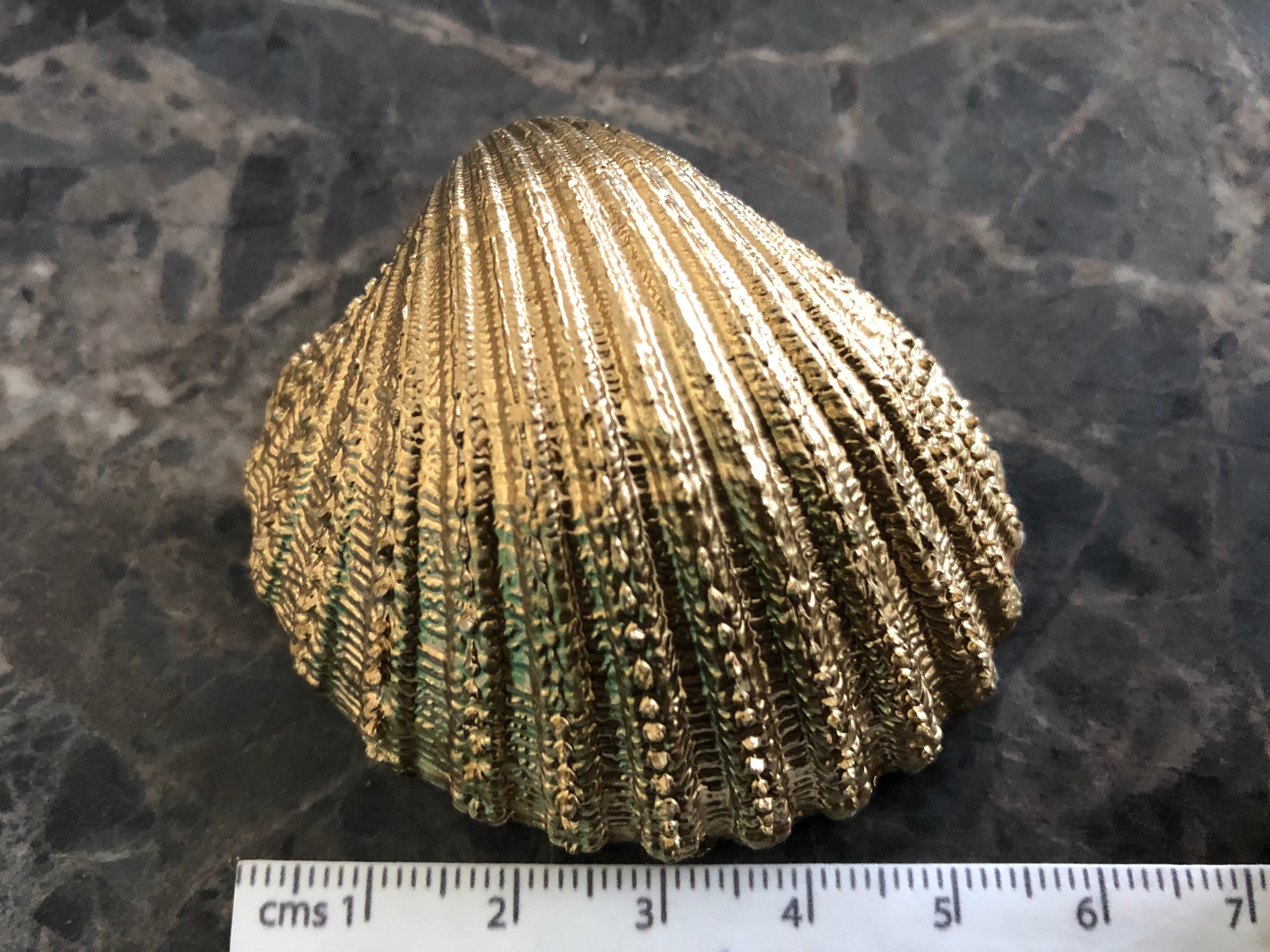 Single or Perfect Pair Gold Cockle Shell Ring Dish in William - Etsy UK