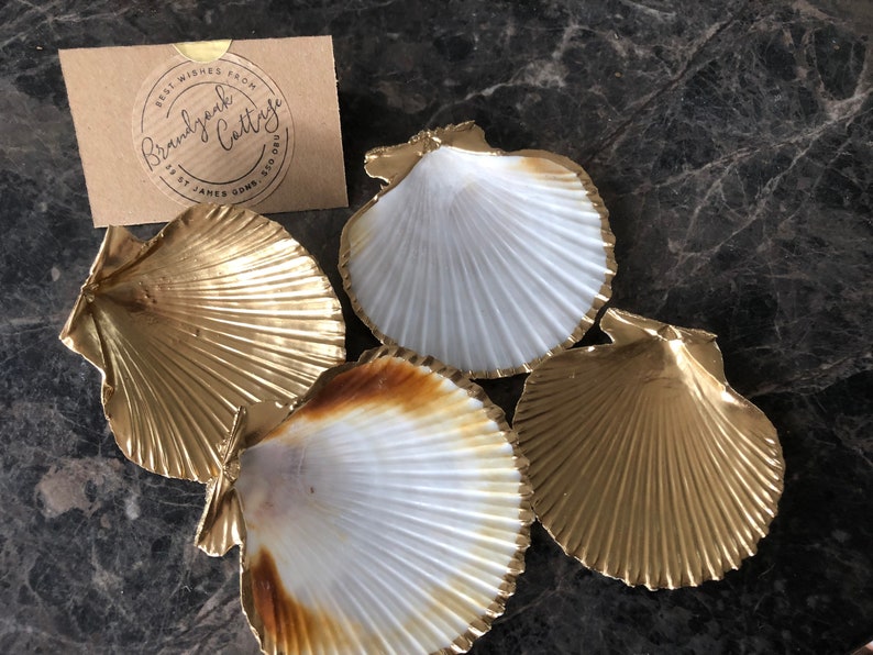 Hanging Shells Gilded Scallop Decorations Barnacle Shell - Etsy