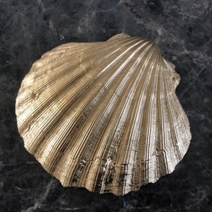 Shell Trinket Dish Gilt Edged Golden Scallop Shell Gold | Etsy