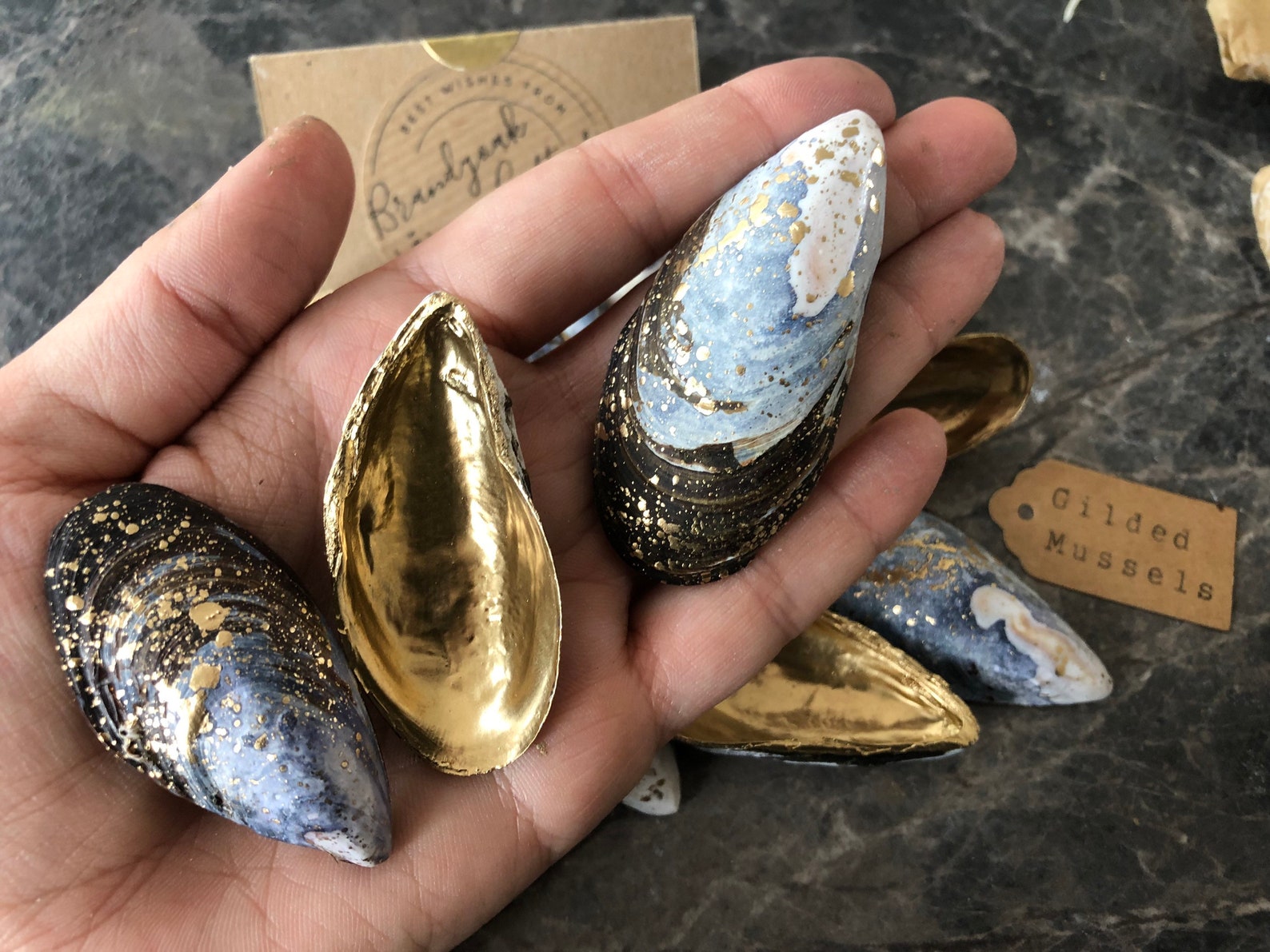 Gilded Mussel Shell Seashell Ornaments, Shell Christmas Decorations ...