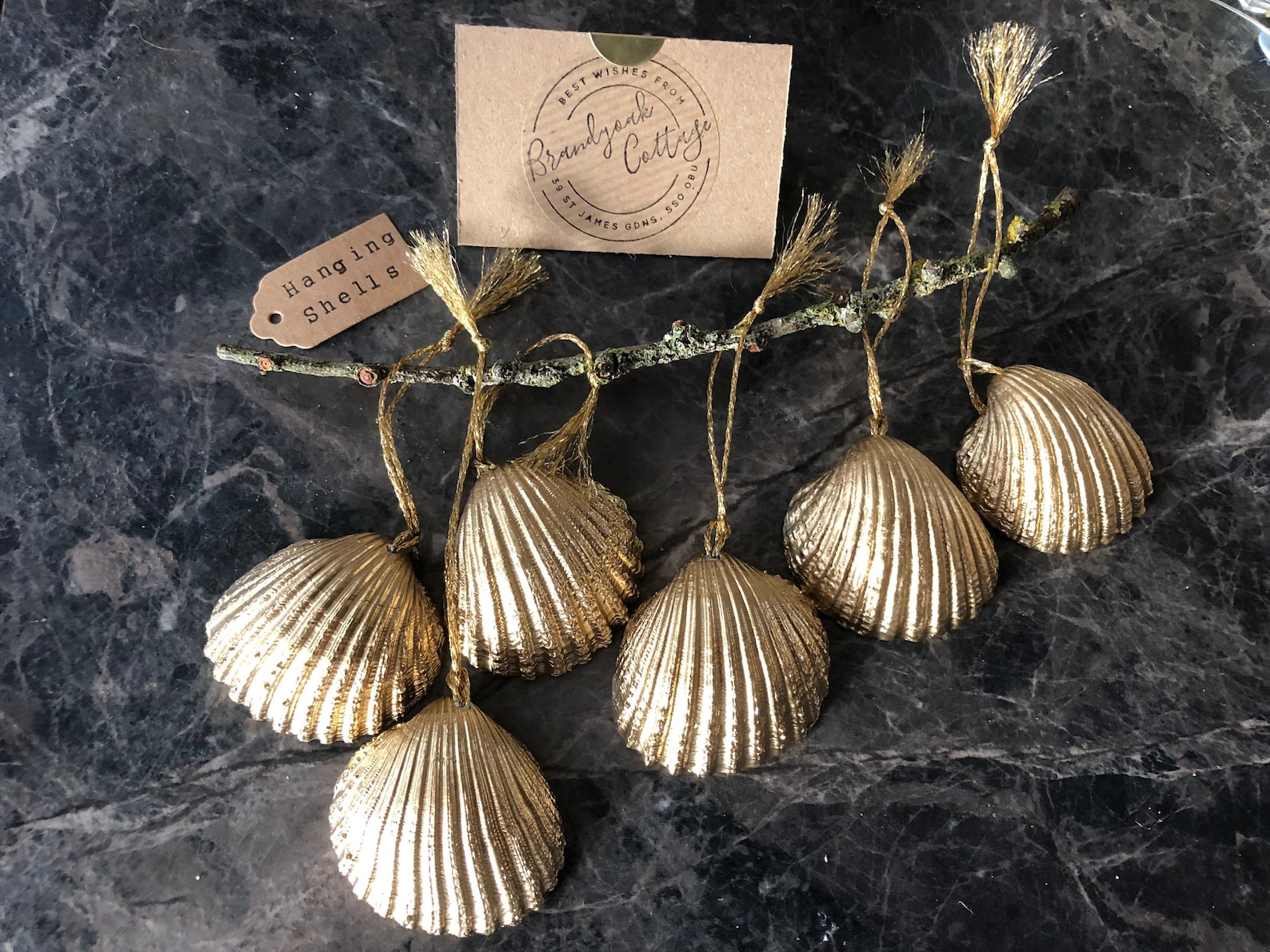 Festive Gold Shell Christmas Decorations Large Spiny Cockle - Etsy