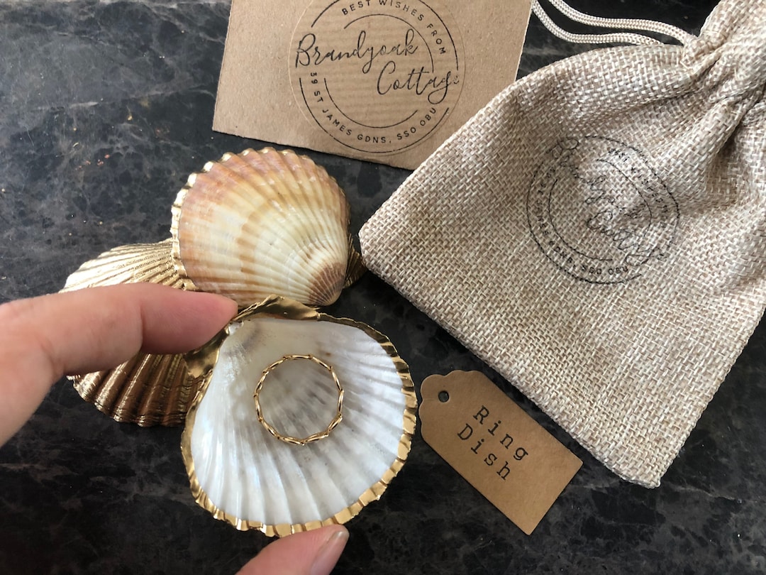 Mini Scallop Shell Trinket Dish - Gilt Edged Golden Scallop Shell ...