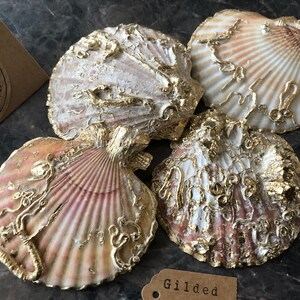 Gold Shell Decor 30 X Gilded Shells Coastal Decor Bulk Pack, Beach ...