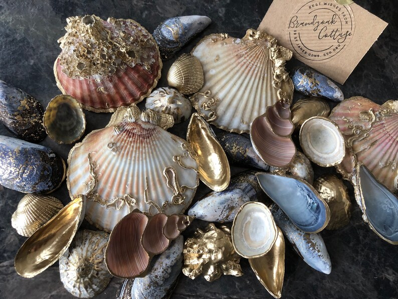 Gold Shell Decor 30 X Gilded Shells Coastal Decor Bulk Pack - Etsy