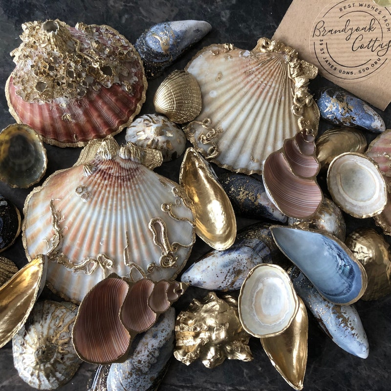 Shells Decor - Etsy