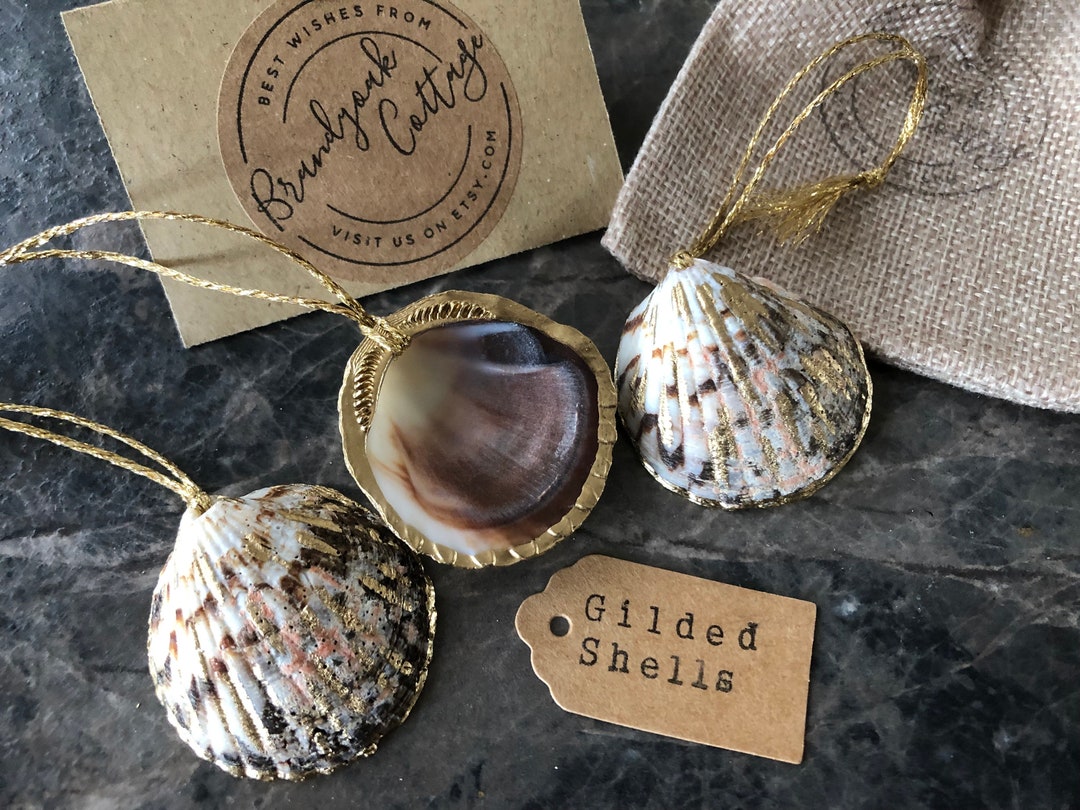 Brown & Gold Cockle Shell Christmas Decorations, Hanging Shells ...