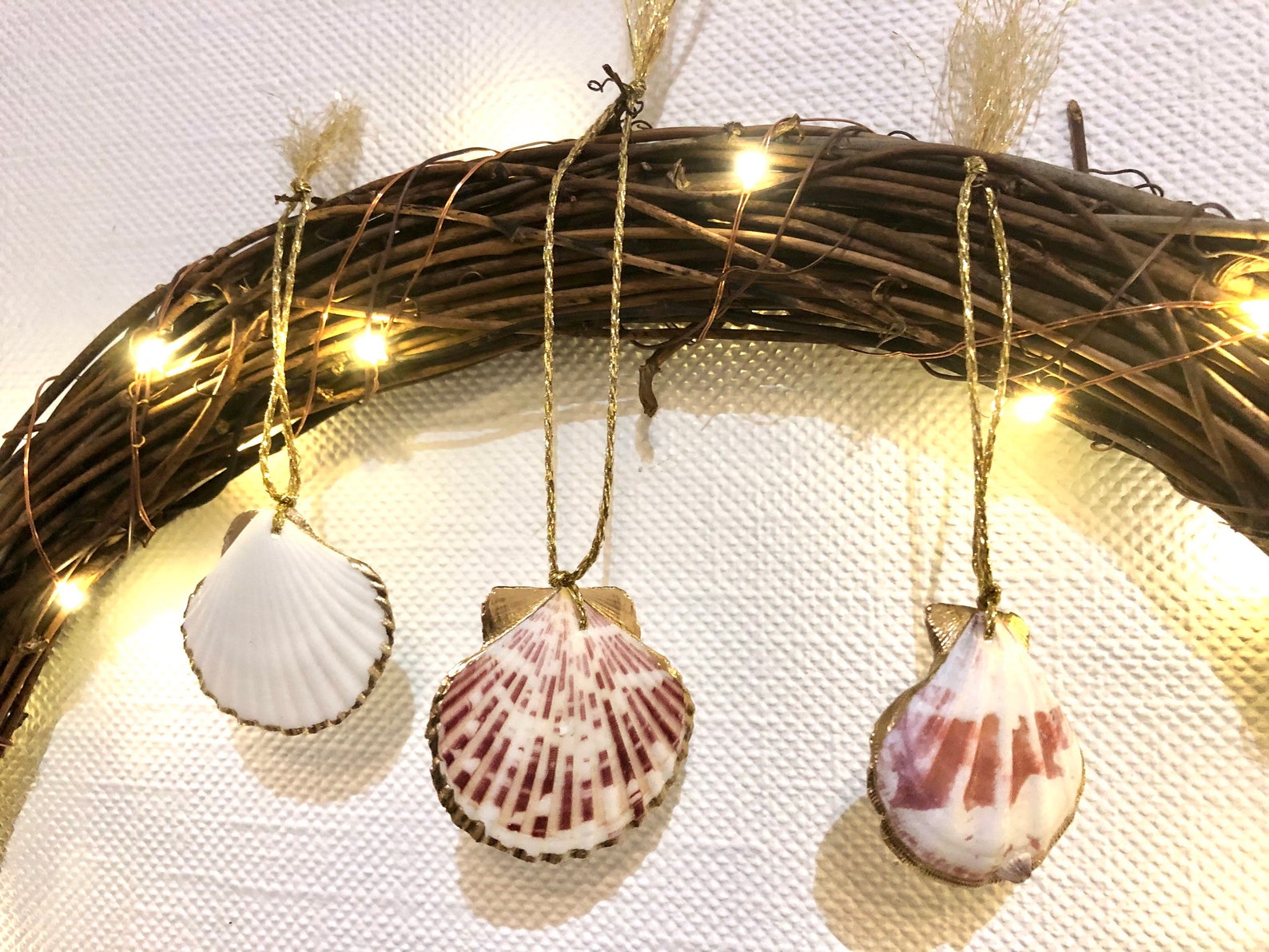 Sea Shell Christmas Decorations Shell Ornaments Gold Edged | Etsy
