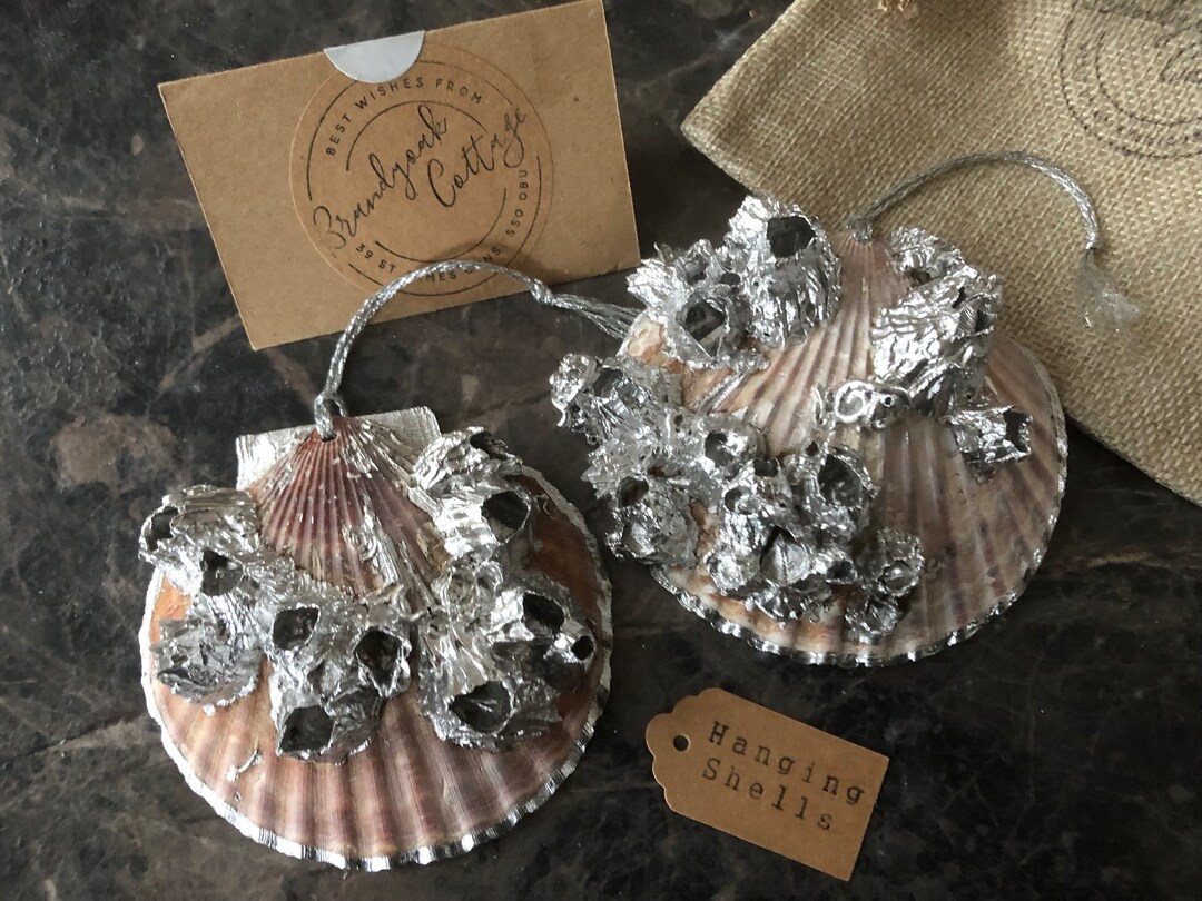 Hanging Gilded Silver Shells, Scallop Decorations, Barnacle Shell ...