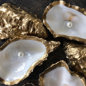 Stunning Gold Pearl Oyster Shell | Bulk 10, 20, 30, 40, 50, 60 Oyster ...