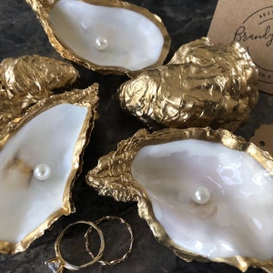 Stunning Gold Pearl Oyster Shell | Bulk 10, 20, 30, 40, 50, 60 Oyster ...