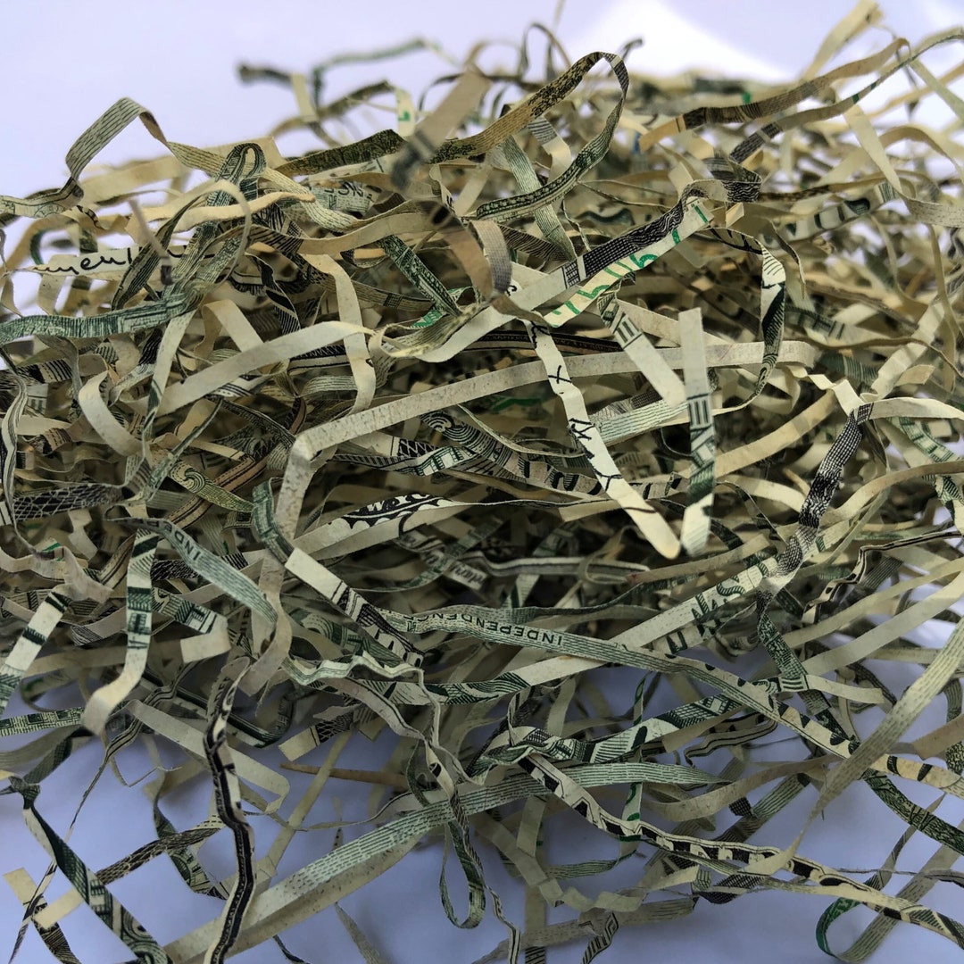 Authentic United States Shredded Currency - Etsy