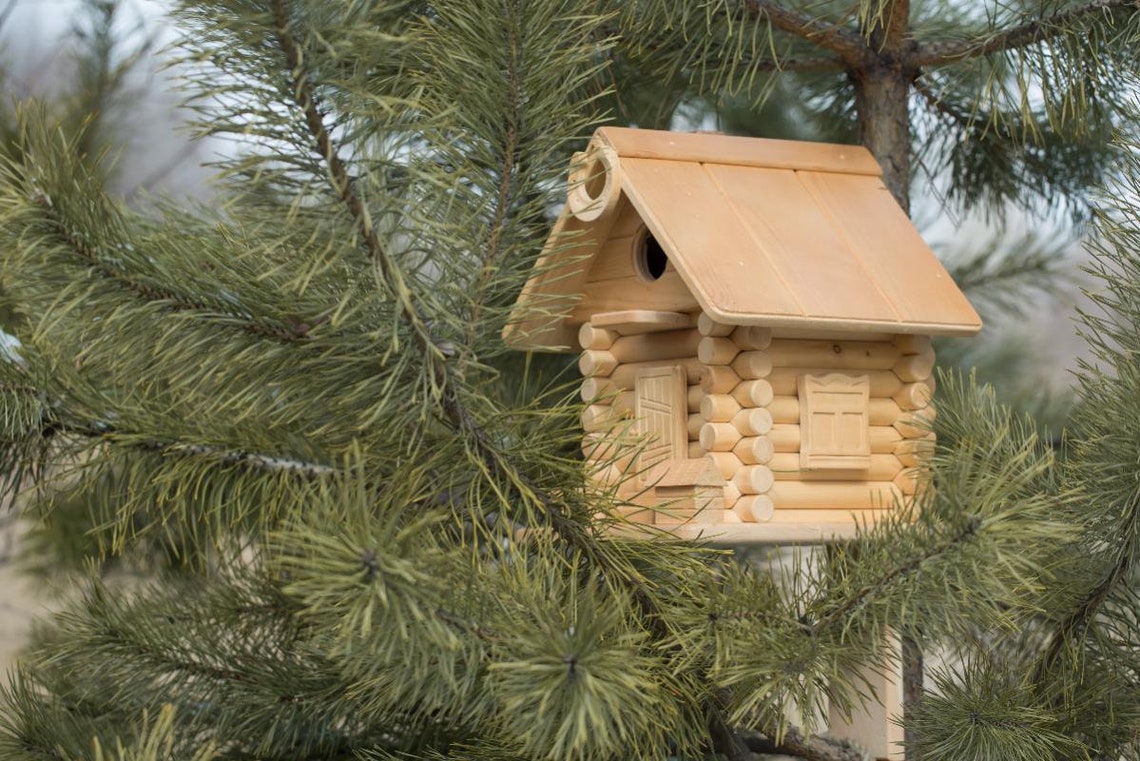 Beautiful Squirrel Feeder, Wooden Garden Decore, Personalized Squirrel ...