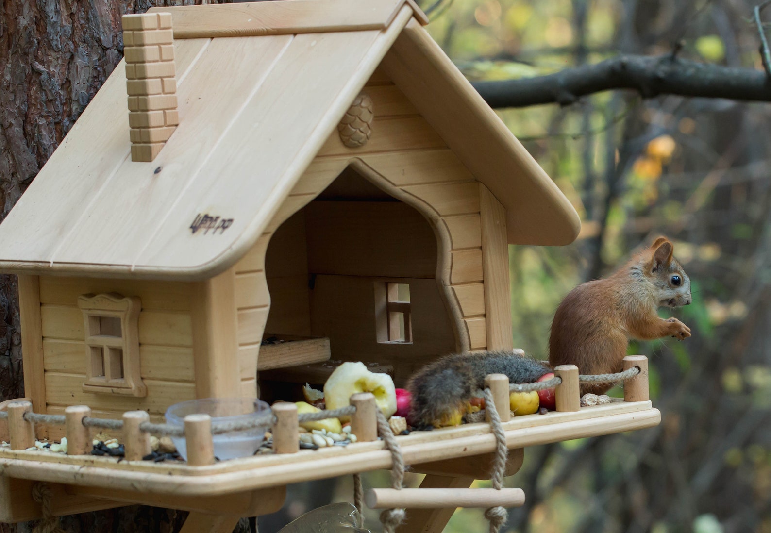 Wooden Squirrel Feeder Personalized Squirrel House Squirrel | Etsy