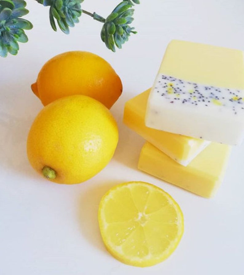 Lemon With Poppy Seeds - Etsy