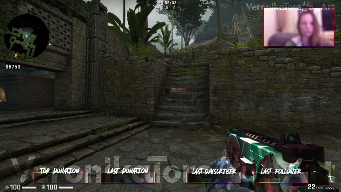 ANIMATED Twitch Overlay Stream Package RGB Twitch Overlay Stream ...