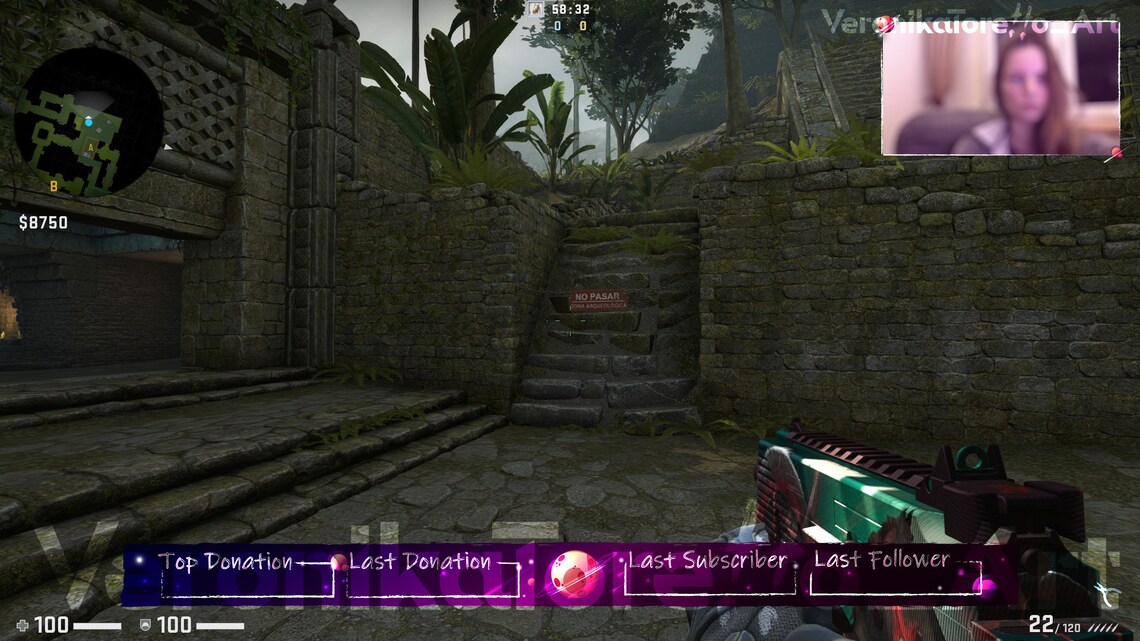 ANIMATED Twitch Overlay Stream Package Planets Twitch Overlay Stream ...