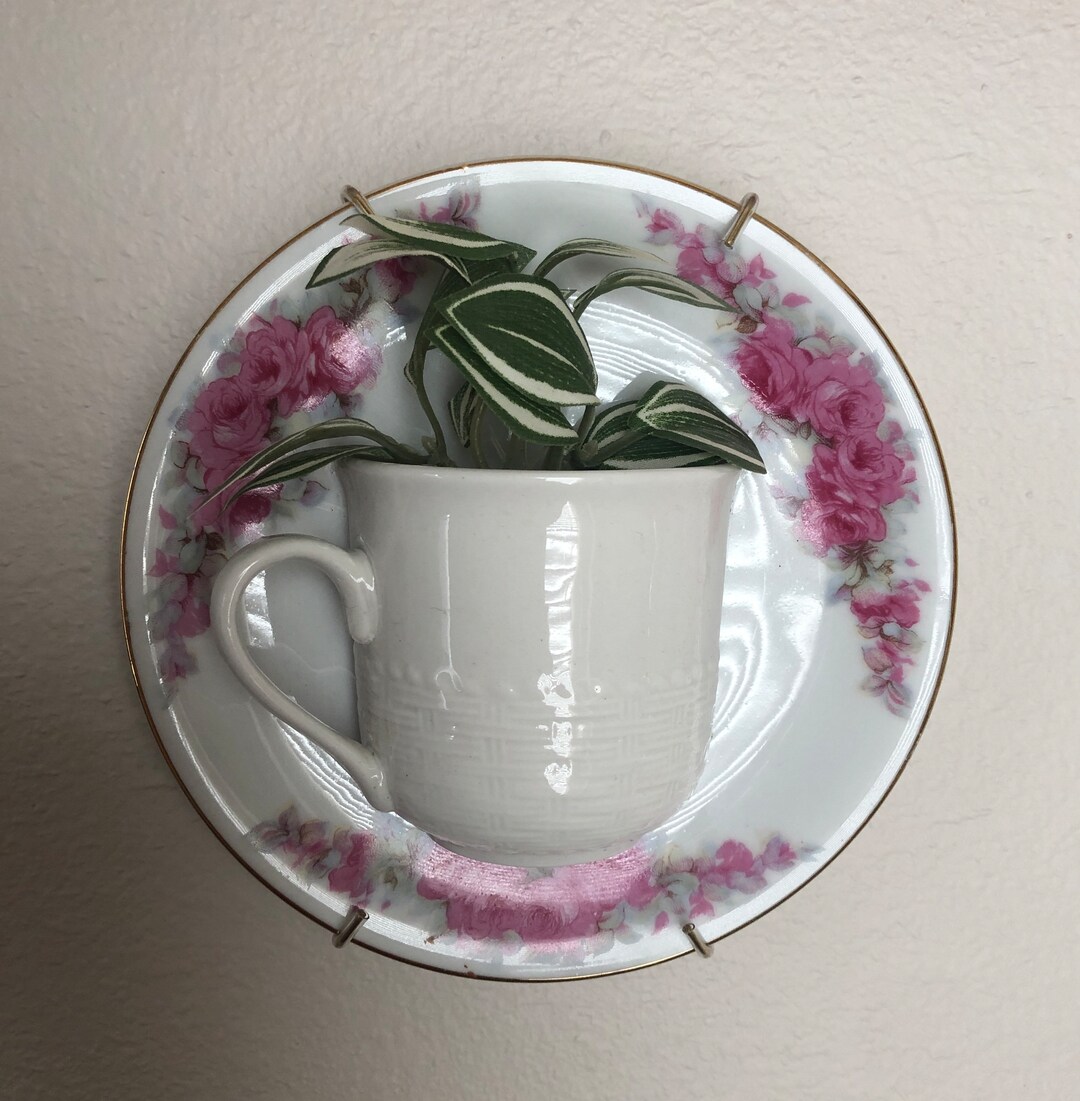 Teacup With Handle and Saucer Planter in Lovely Pink and White. - Etsy