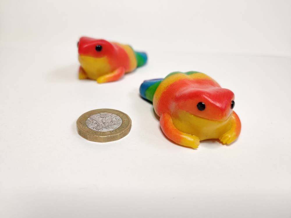 Polite Rainbow Frog Handmade Polymer Clay Sculpture - Etsy