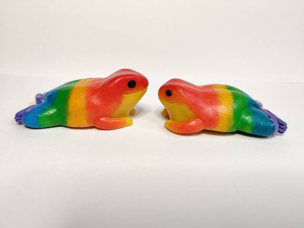 Polite Rainbow Frog Handmade Polymer Clay Sculpture - Etsy