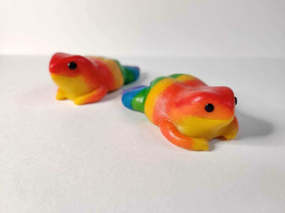 Polite Rainbow Frog Handmade Polymer Clay Sculpture - Etsy