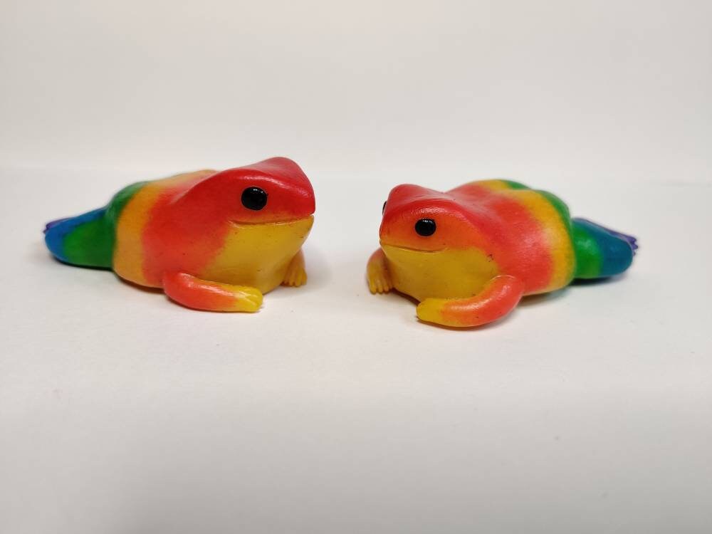 Polite Rainbow Frog Handmade Polymer Clay Sculpture - Etsy