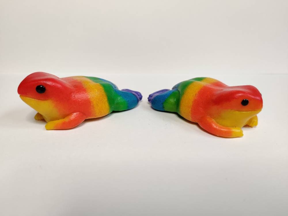 Polite Rainbow Frog Handmade Polymer Clay Sculpture - Etsy