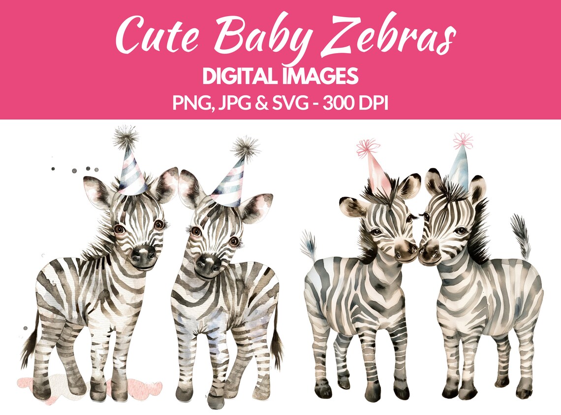 Cute Baby Zebra With Party Hats Watercolor Effect PNG SVG JPG Digital ...