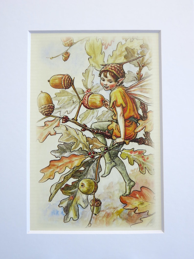 Flower Fairies Vintage Acorn Fairy Print, 6x8 Inch Mounted Illustration ...