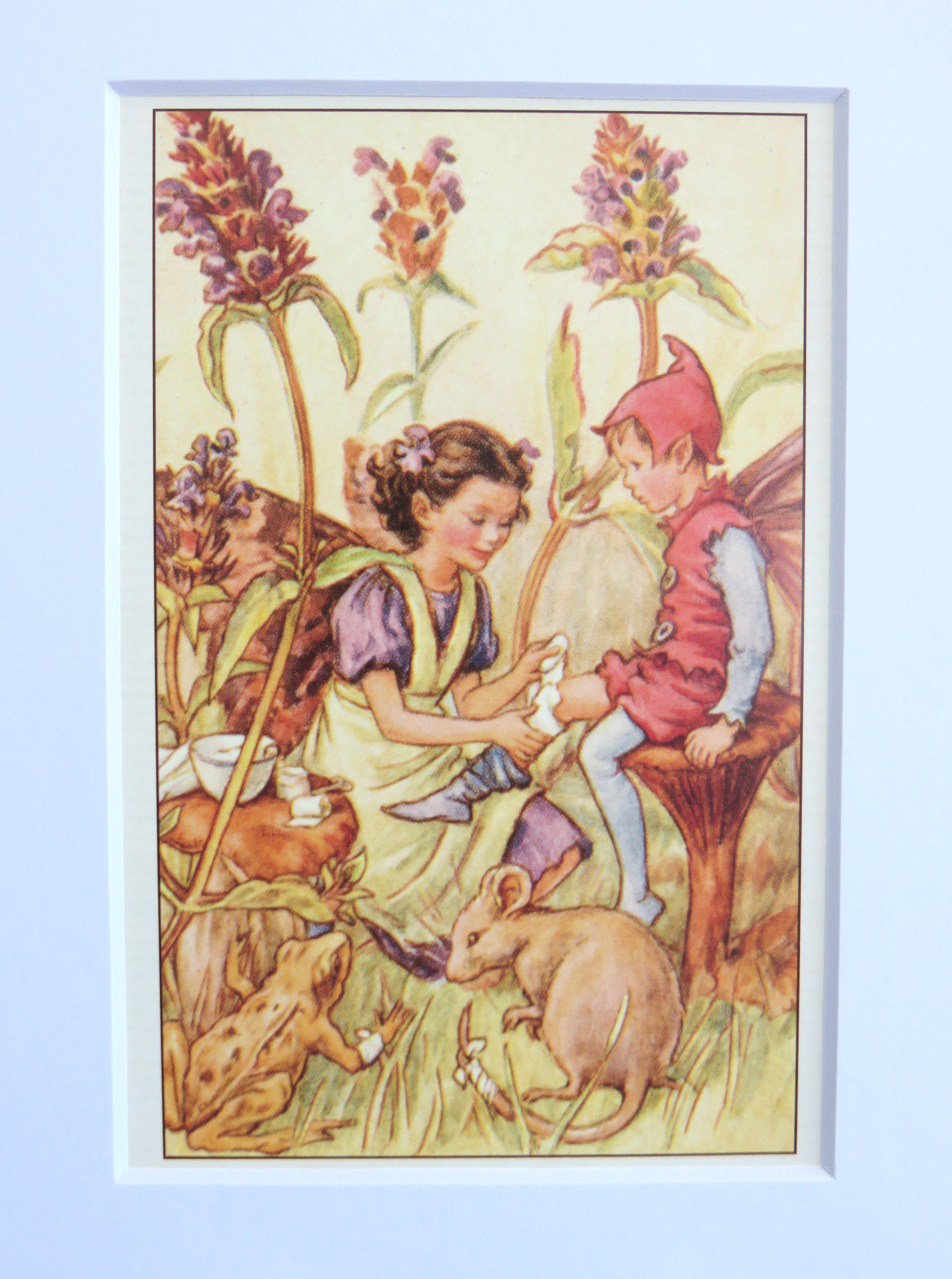 Flower Fairies Vintage Print of the Self Heal Fairy, 6x8 Inch Mounted ...