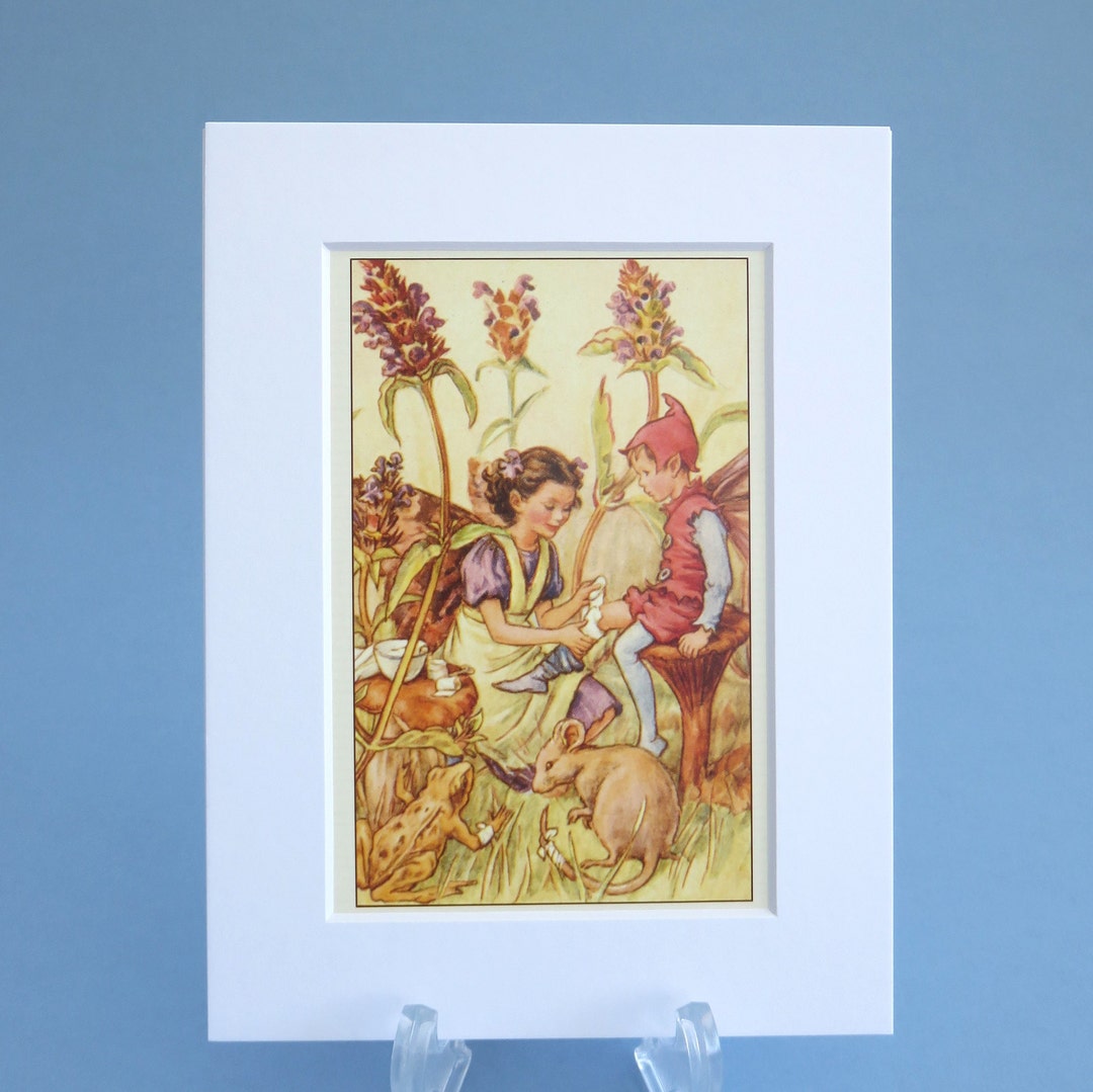 Flower Fairies Vintage Print of the Self Heal Fairy, 6x8 Inch Mounted ...
