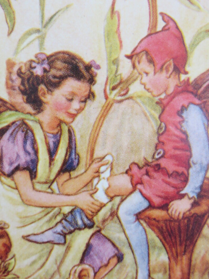 Flower Fairies Vintage Print of the Self Heal Fairy, 6x8 Inch Mounted ...