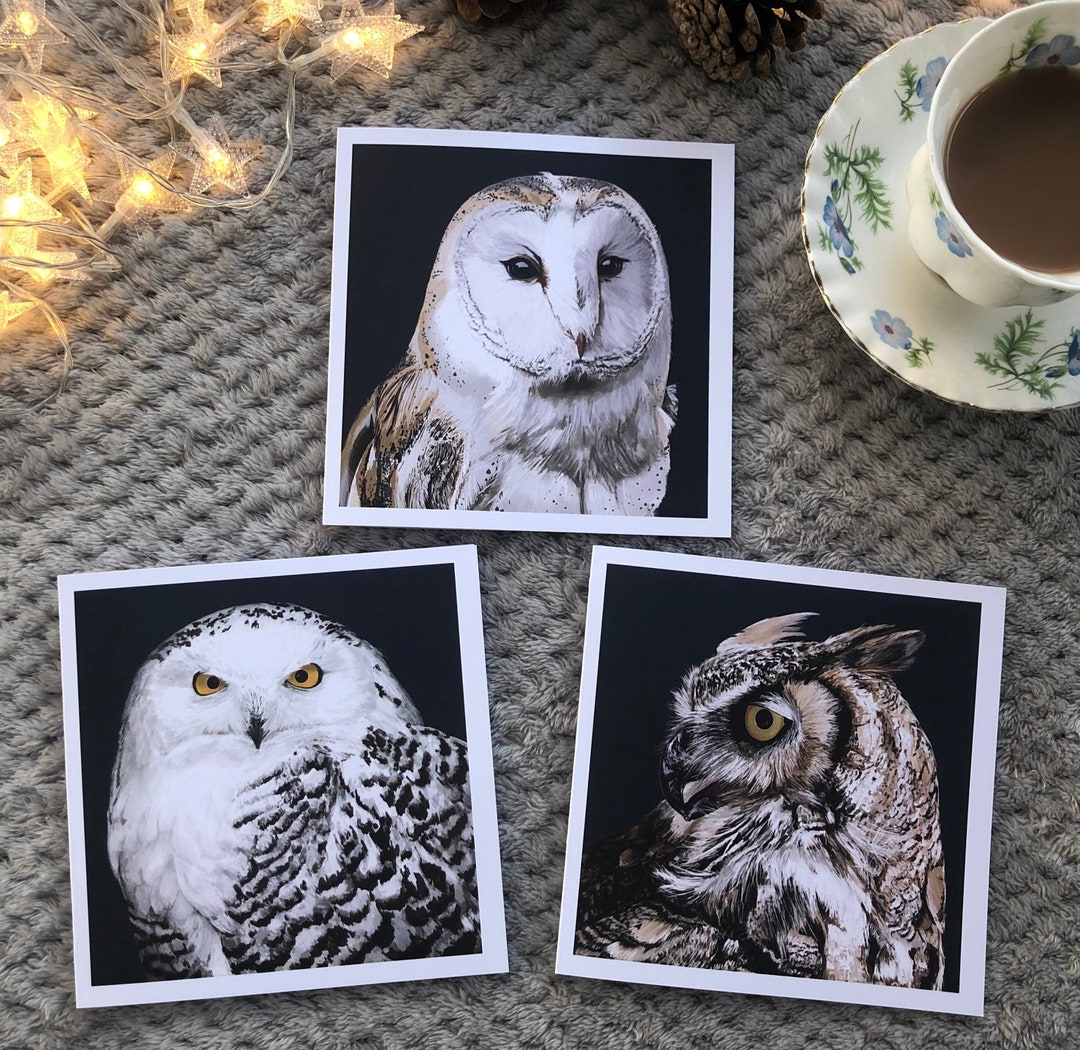 Owl Blank Greeting Cards, Snowy Owl, Barn Owl, Horned Owl, Birthdays ...