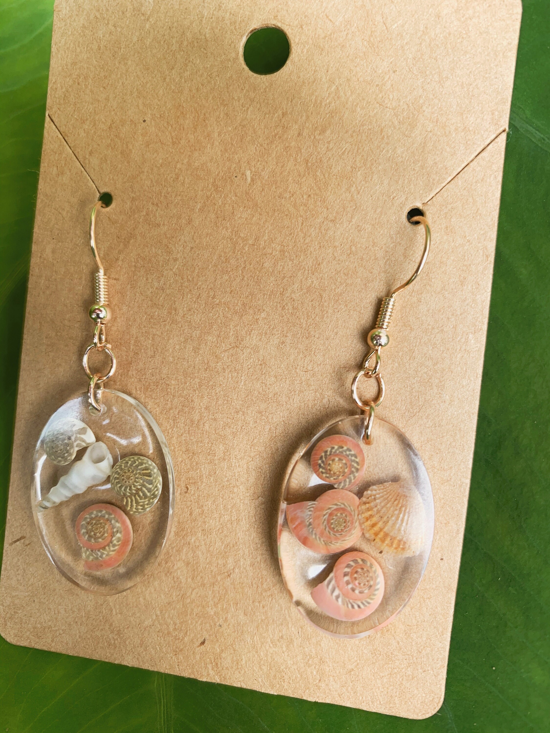 Sally Sells Seashells - Etsy