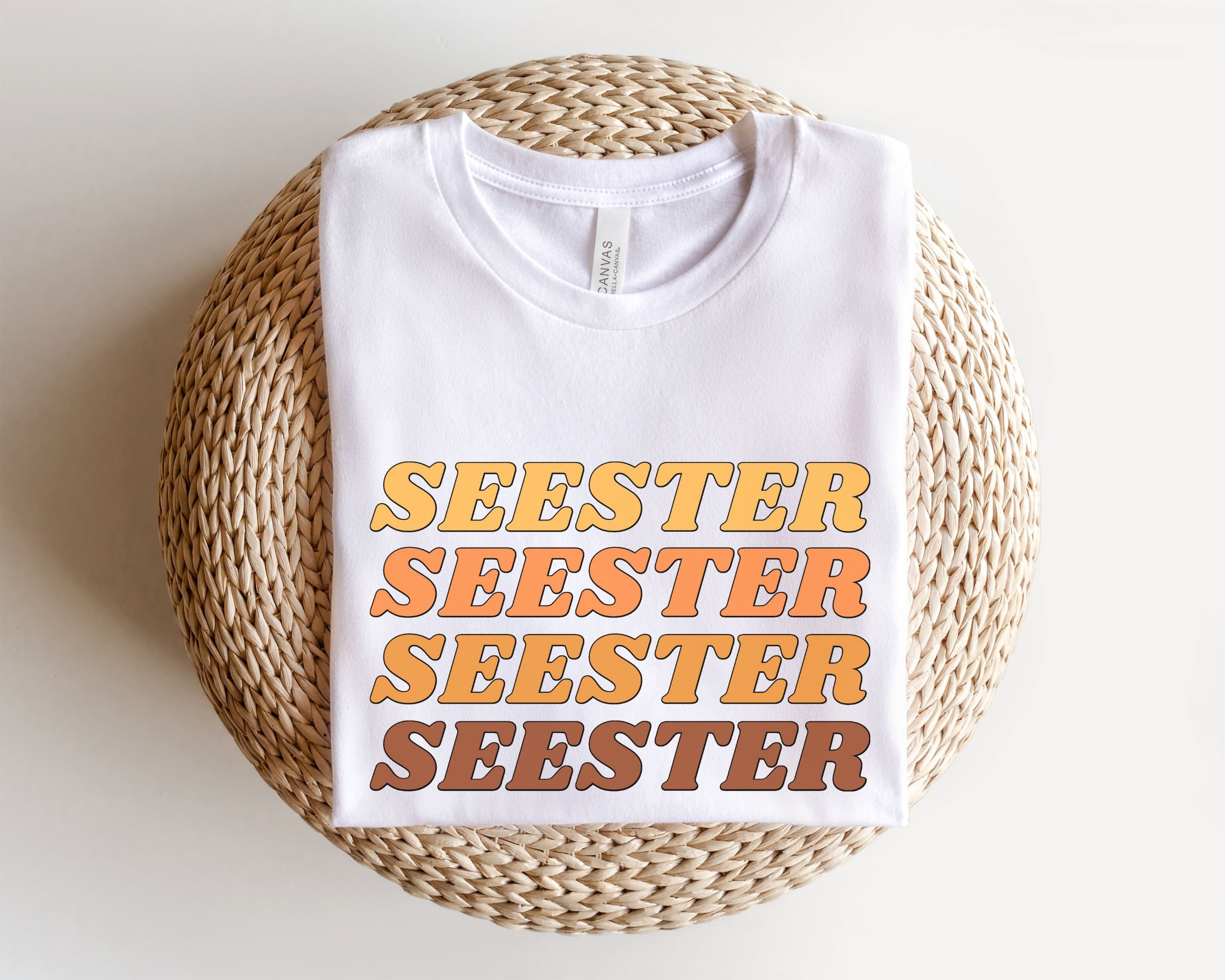 Seester Shirt, Best Sister Gift, Cool Sister Present, Retro Big Sister ...