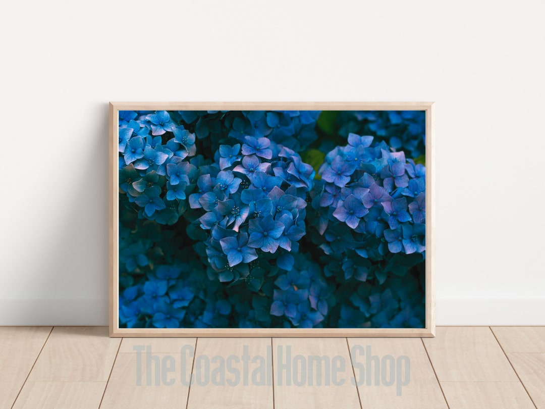 Blue Hydrangeas Flowers Poster Printable Coastal Home Aesthetic Floral ...