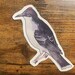 Eastern Kingbird Decal - Watercolor Bird Art - Bird Sticker - Etsy