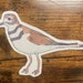 Killdeer Decal - Watercolor Bird Art - Bird Sticker - Etsy