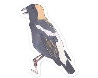 Bobolink Art Print 5x7 Birding Birdwatcher Bird Lover Gift Ornithology ...