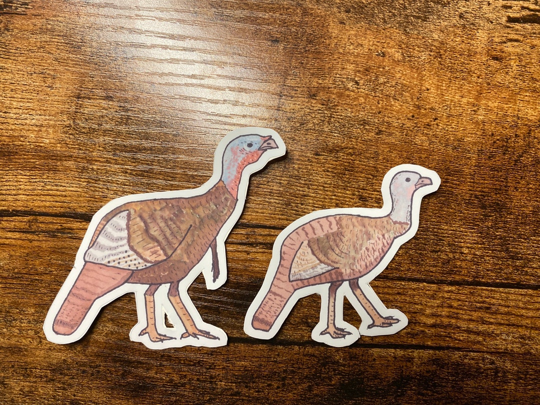 Wild Turkey Decal - Watercolor Bird Art - Bird Sticker - Turkey Sticker ...