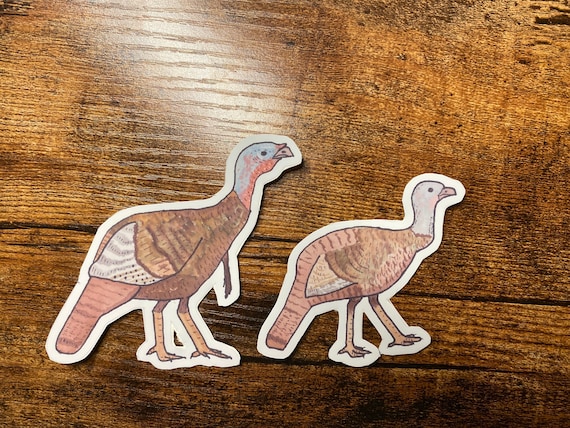 Wild Turkey Decal Watercolor Bird Art Bird Sticker | Etsy